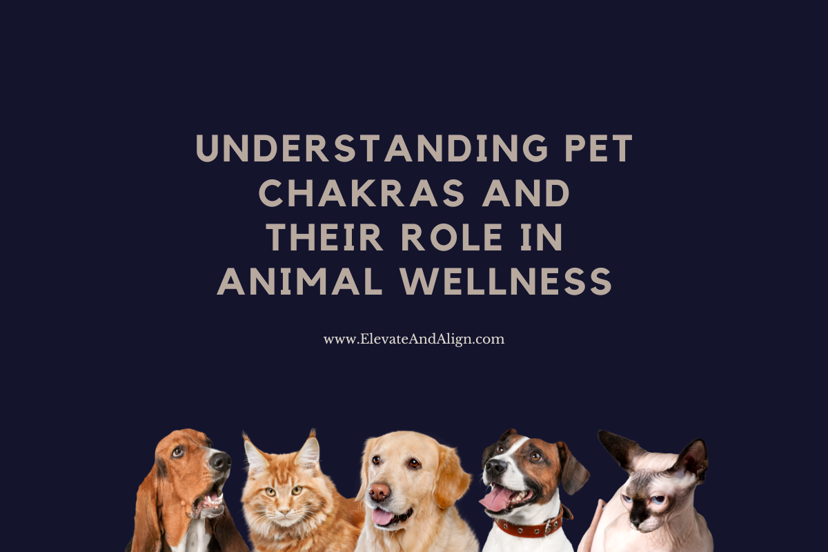 Understanding Pet Chakras and Their Role in Animal Wellness – Elevate ...